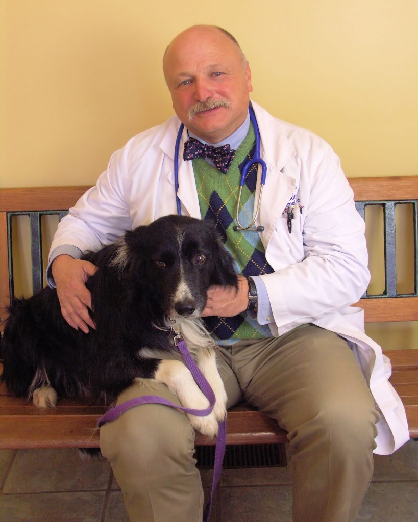 Welcome to the Bradford Animal Clinic - Bradford Animal ClinicBradford ...